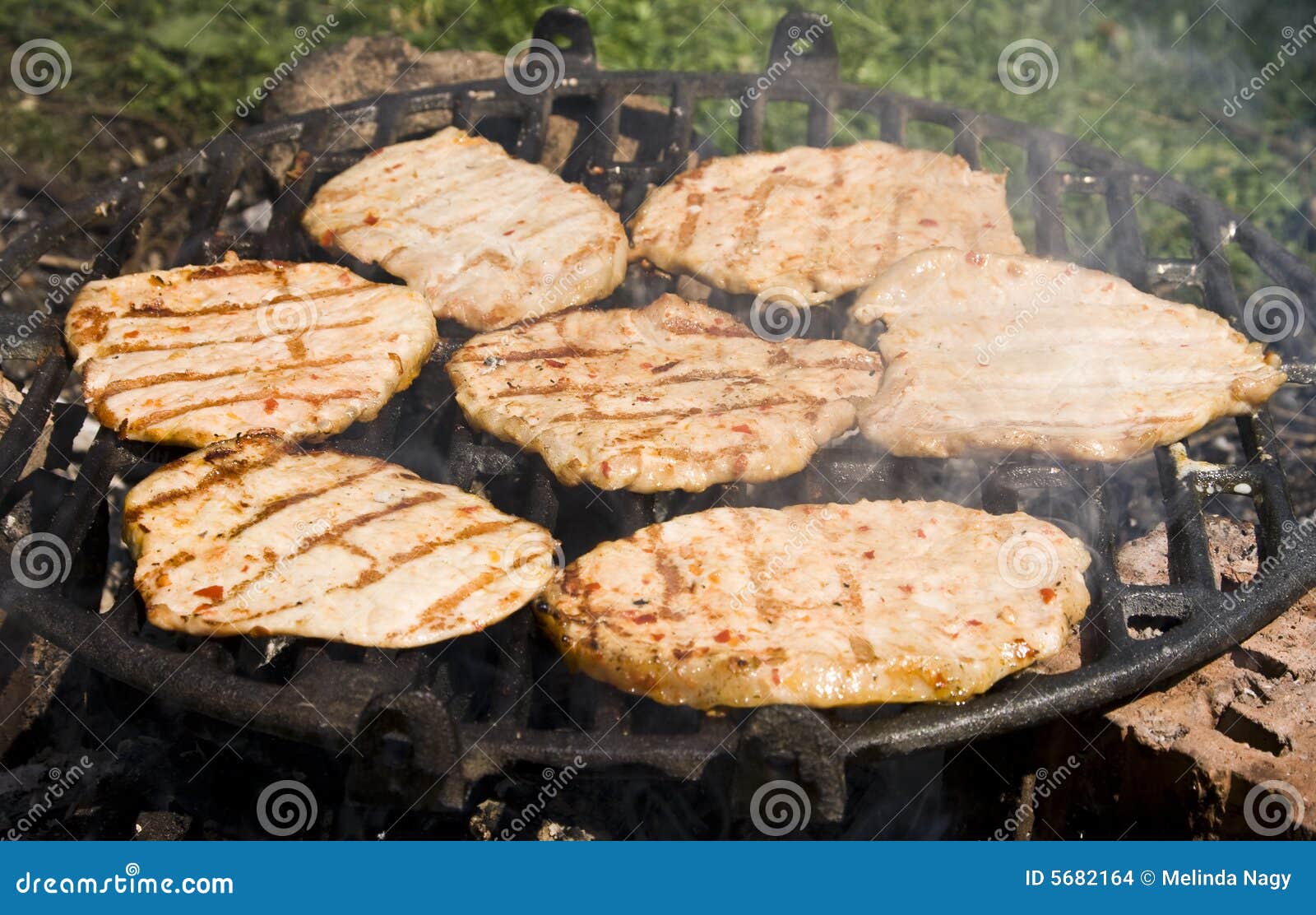 Grill Bild. Bild: 5682164