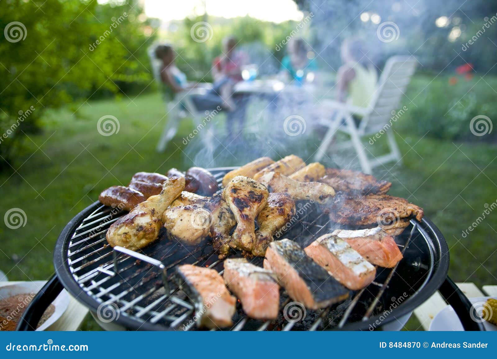 Grill stock photo. Image of grass, chicken, frends, salmon - 8484870