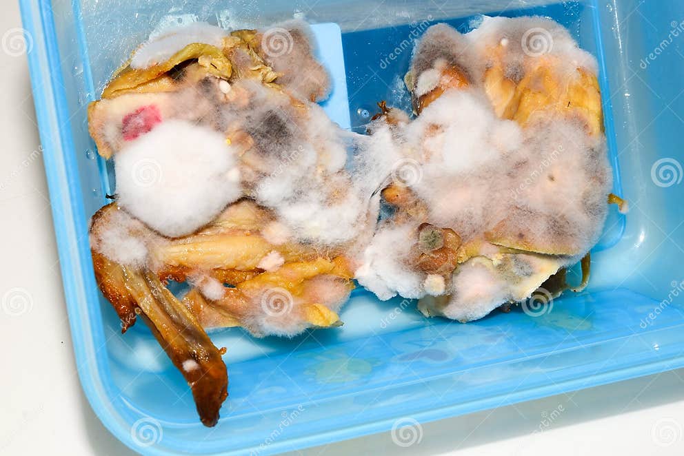 Grill Chicken with the Mold Stock Image - Image of mold, meat: 76408121