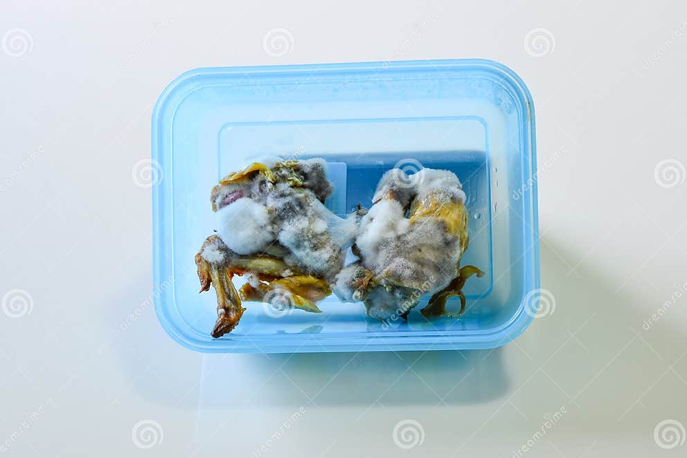 Grill Chicken with the Mold Stock Image - Image of brown, mold: 76408239