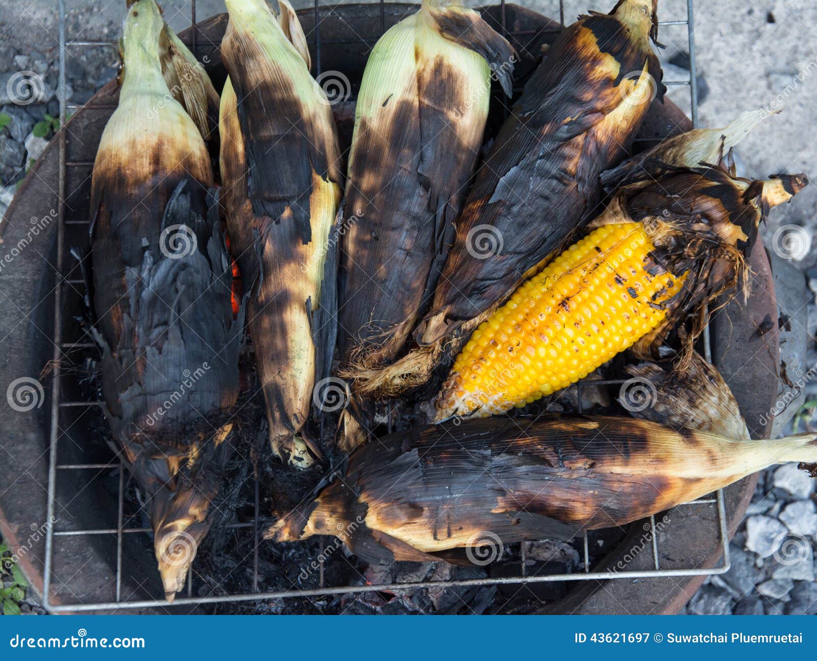 Grill Corn by Place on a Rack Stock Image - Image of corn, crop: 43621697