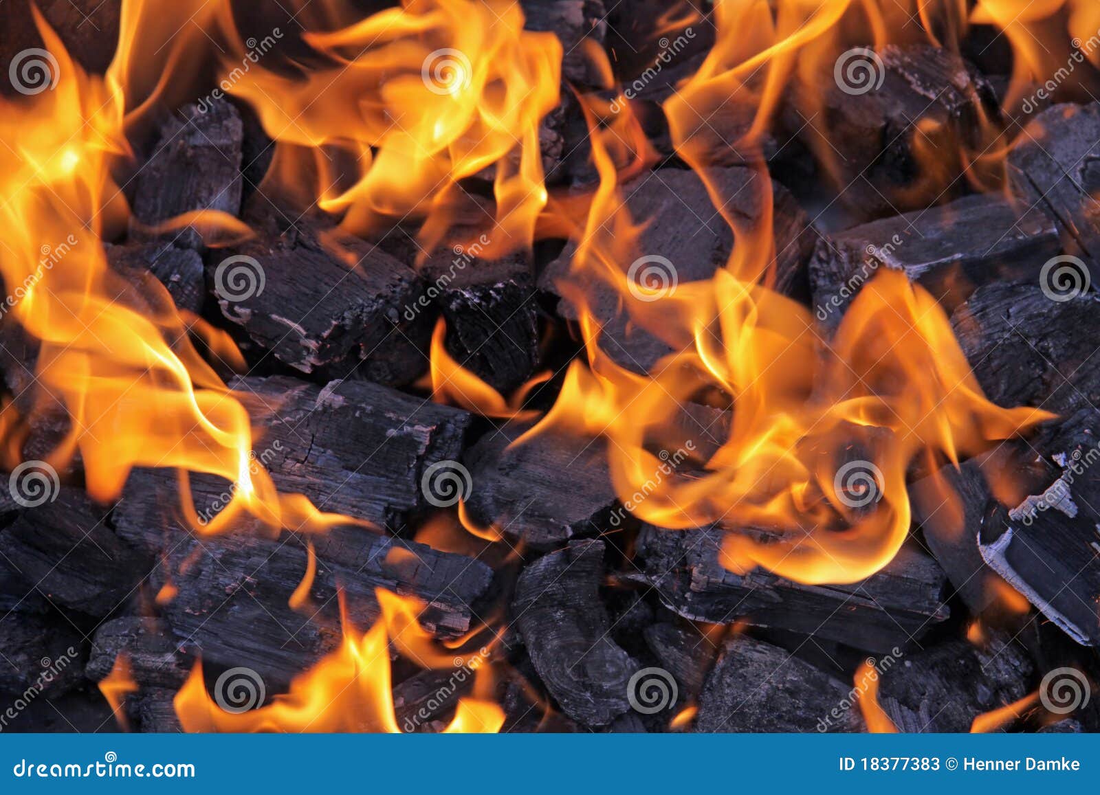 Grill-Feuer stockbild. Bild von grillen, holzkohle, sicherheit - 18377383