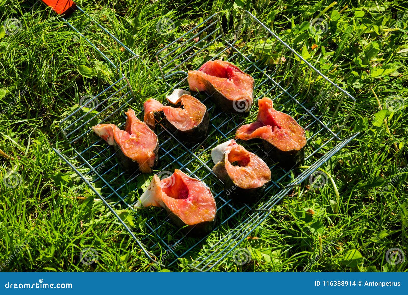 Grill the Fish on the Fire. Salmon Stock Photo - Image of dinner ...