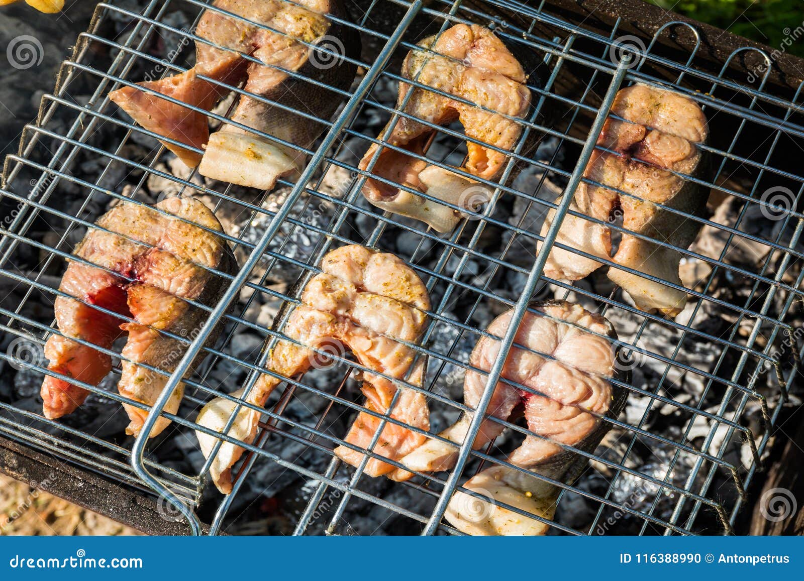 Grill the Fish on the Fire. Salmon Stock Photo - Image of gastronomy ...