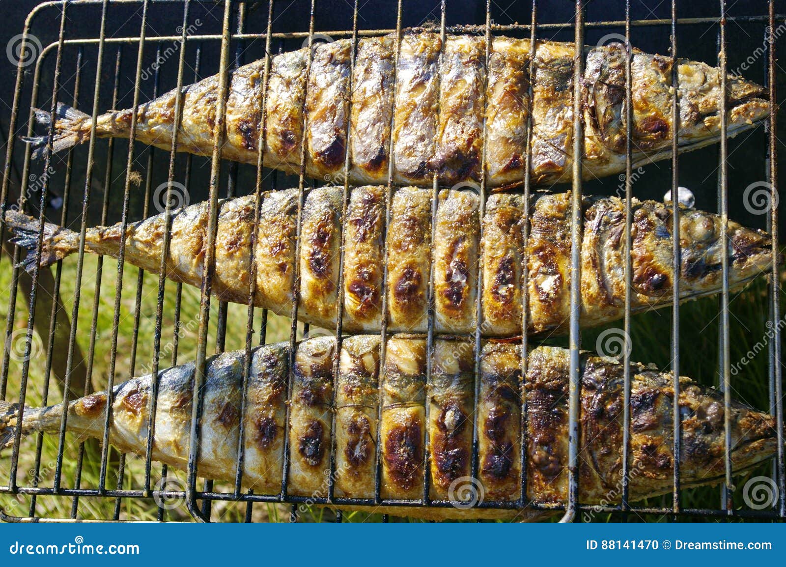 Grill fish stock photo. Image of time, sunset, grate - 88141470
