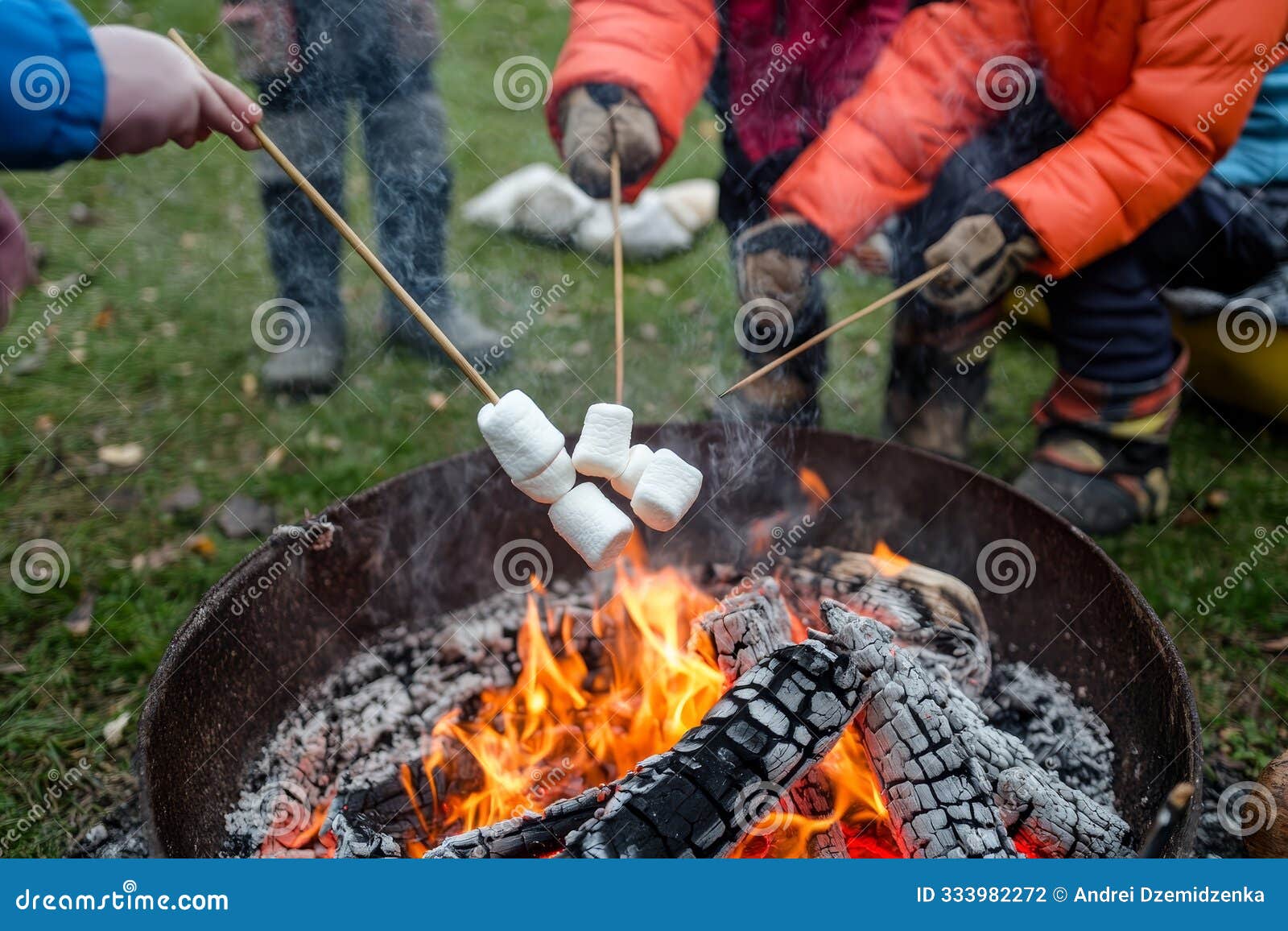 In a Grill, Friends Roast Marshmallows Over a Fire Stock Photo - Image ...