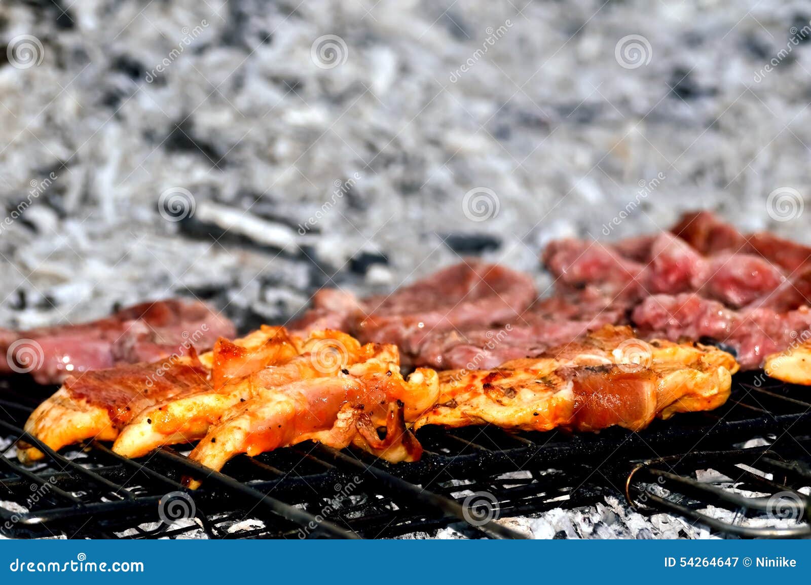 Grill Grid, Lining Up Meats Stock Image - Image of coals, cook: 54264647
