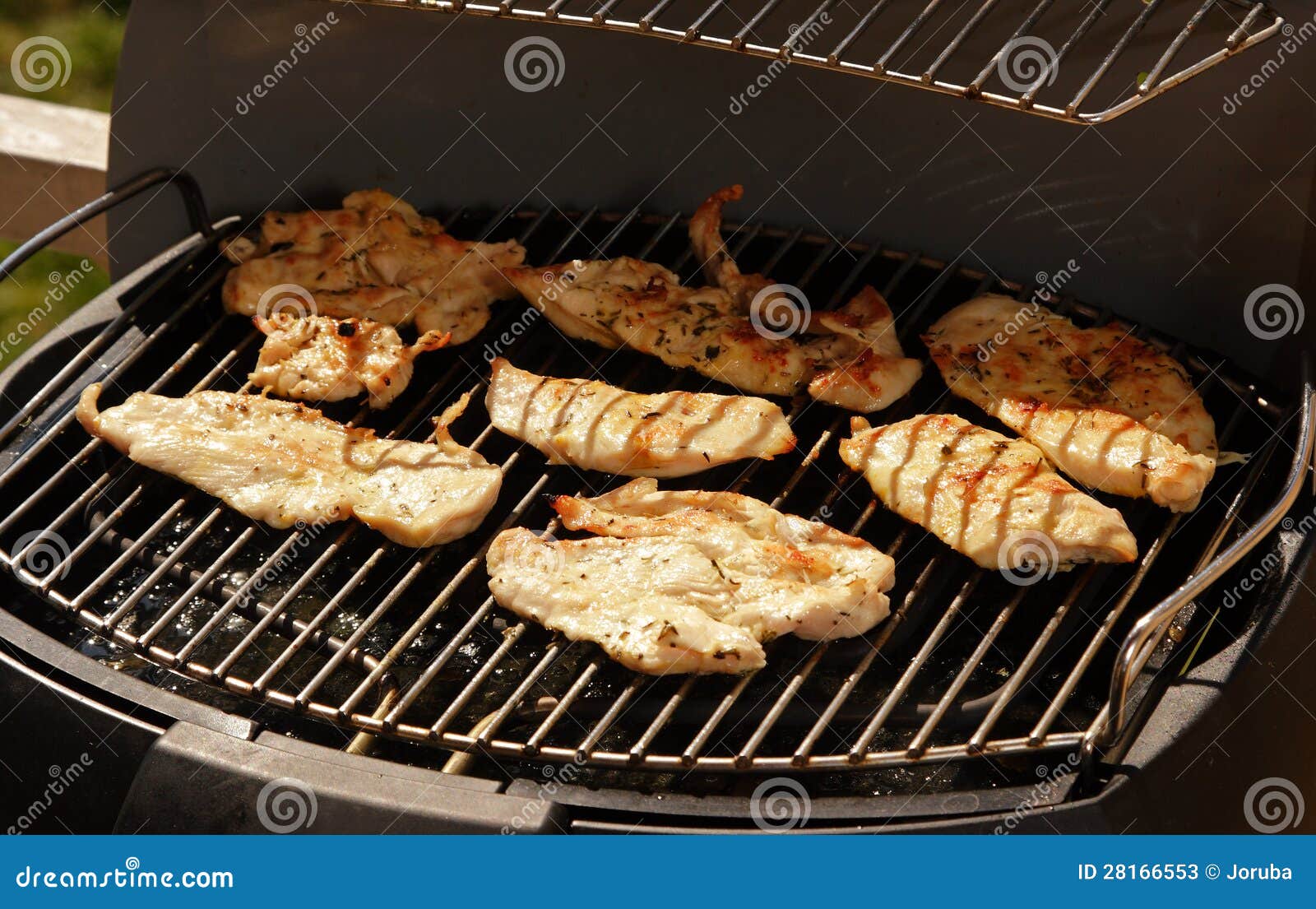 Grill meat stock image. Image of roast, dining, plate - 28166553