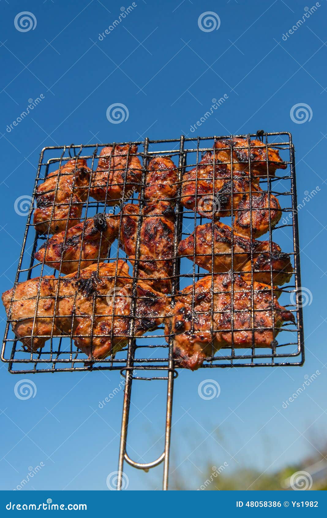 Grill meat and blue sky stock photo. Image of cook, green - 48058386