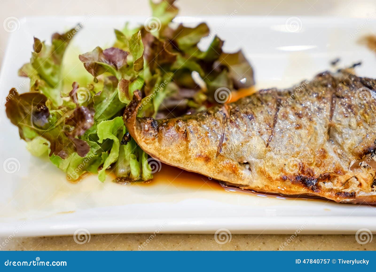 Grill Saba Fish stock image. Image of japanese, cuisine - 47840757