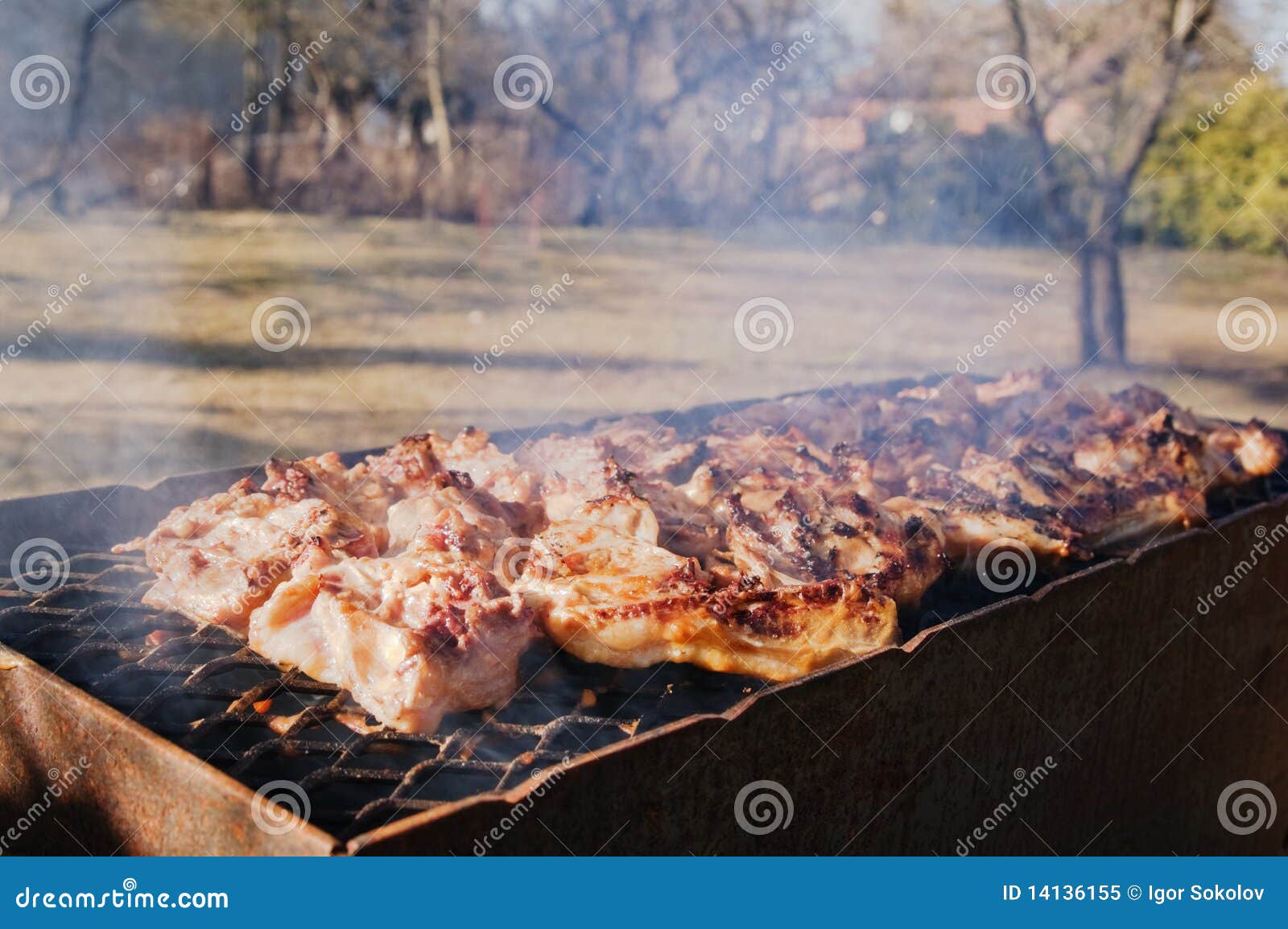 Grill in a spring garden stock image. Image of outdoor - 14136155