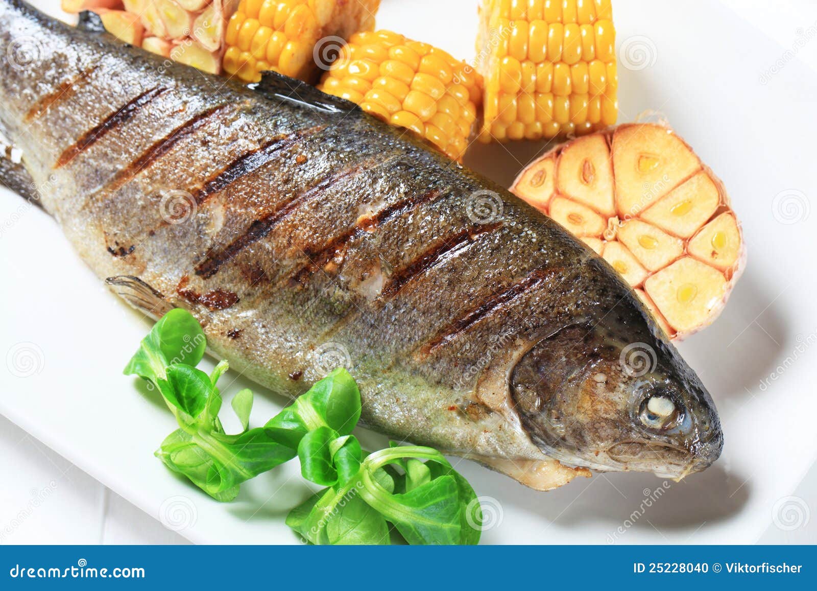 Grillad forell arkivfoto. Bild av sött, gourmet, vitt - 25228040