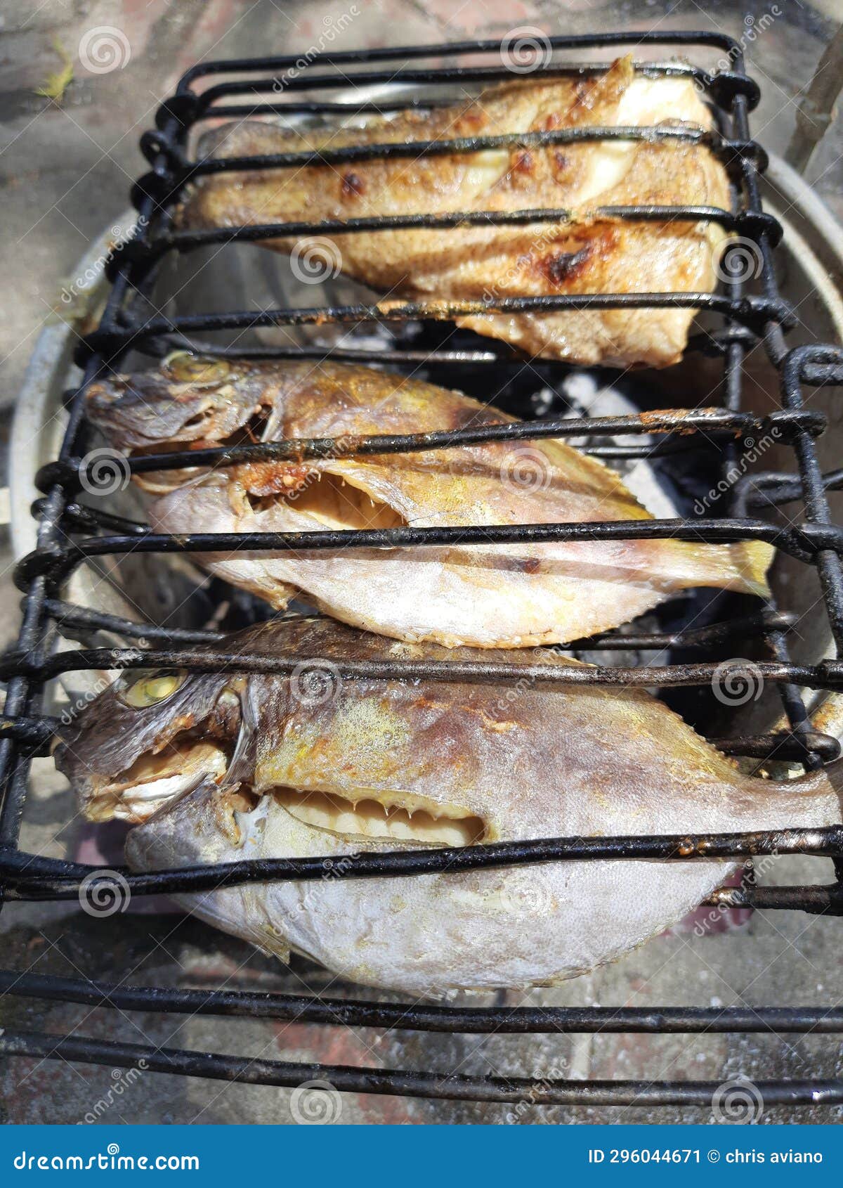 Baronang Fish Stock Photos - Free & Royalty-Free Stock Photos from ...