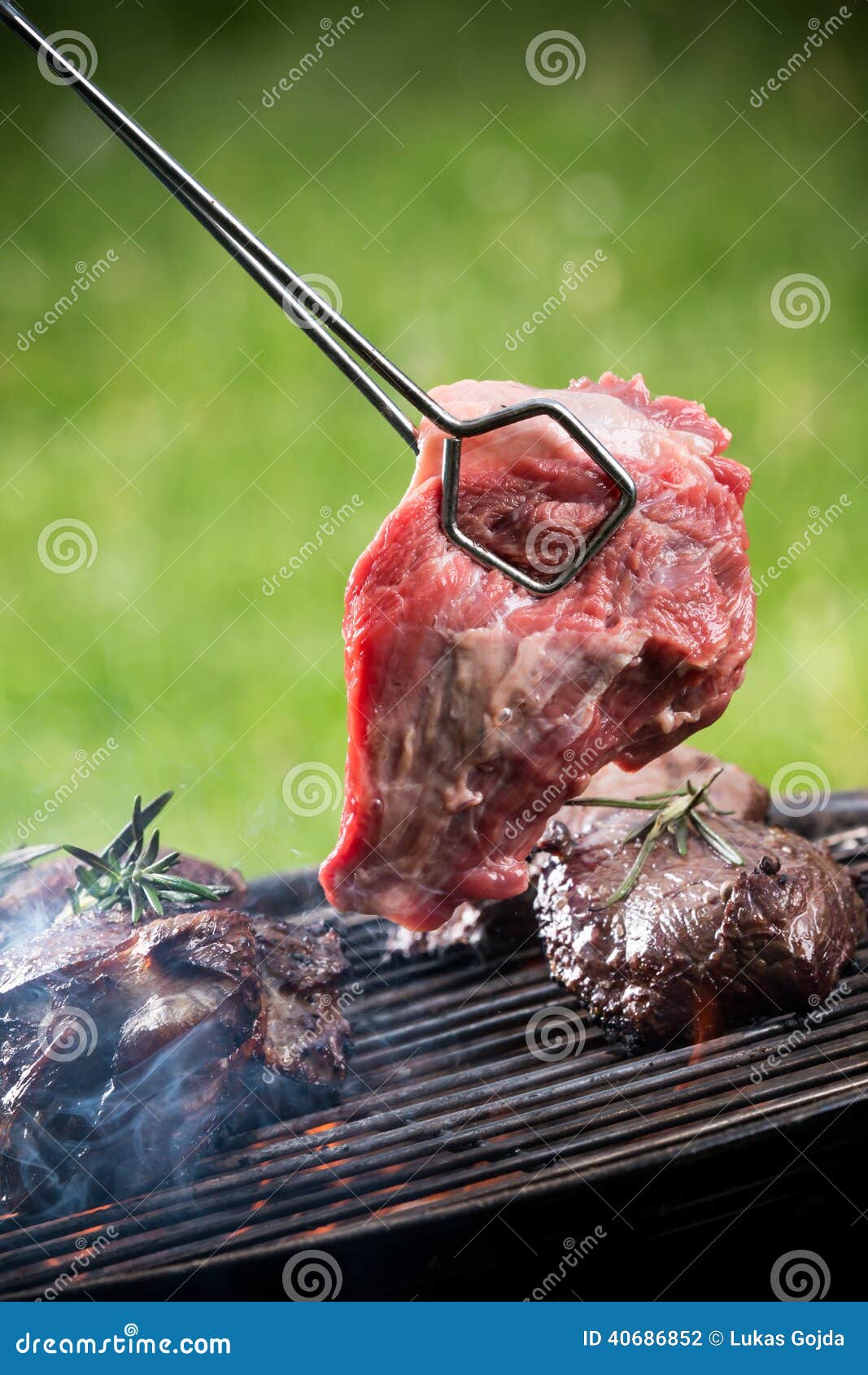 Grilled beef steaks stock photo. Image of party, grilled - 40686852