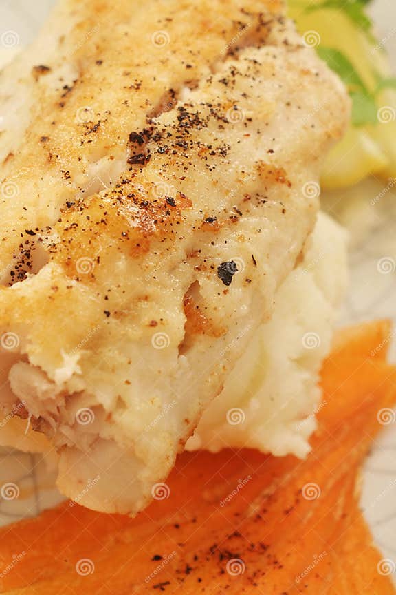 Grilled Blue Grenadier Macro Stock Photo - Image of fried, dinner: 331450