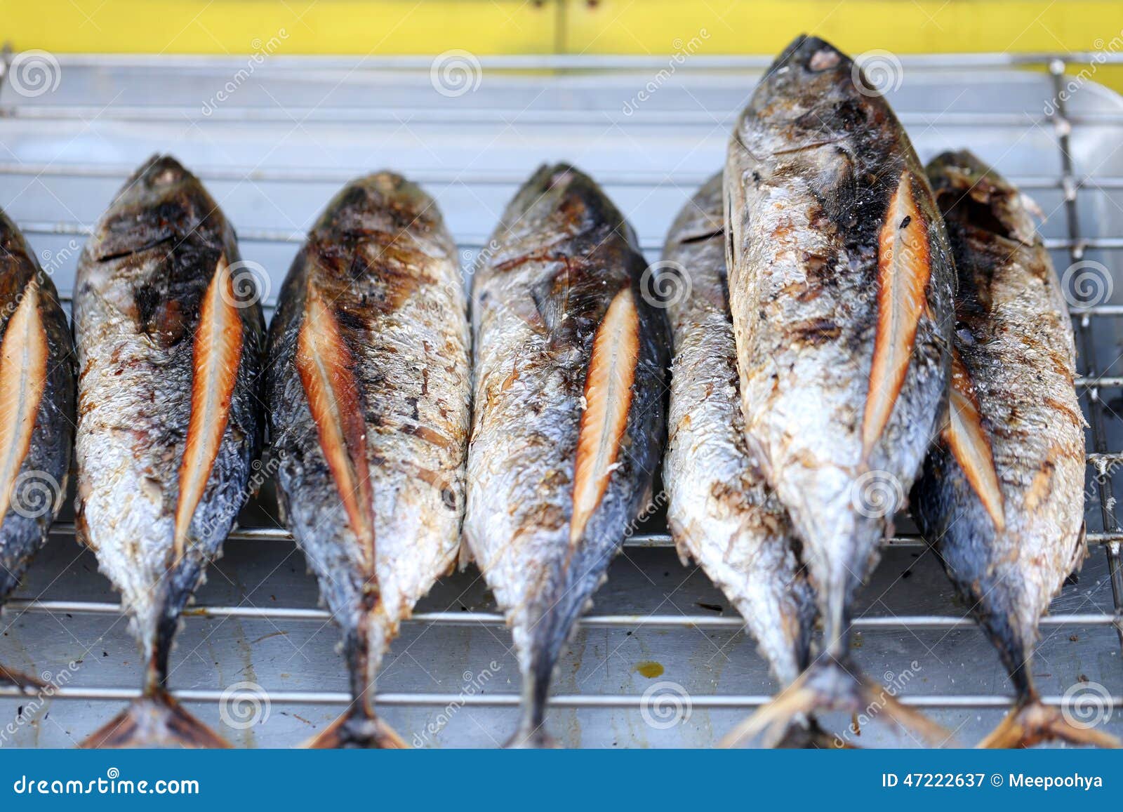 Grilled bonito fish. stock image. Image of fish, cooking - 47222637