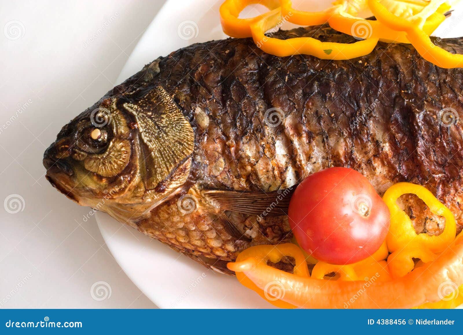 Grilled carp stock photo. Image of fresh, seafood, grilled - 4388456