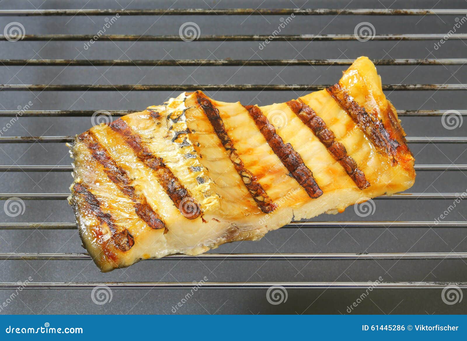 Grilled carp fillet stock photo. Image of boned, fillet - 61445286