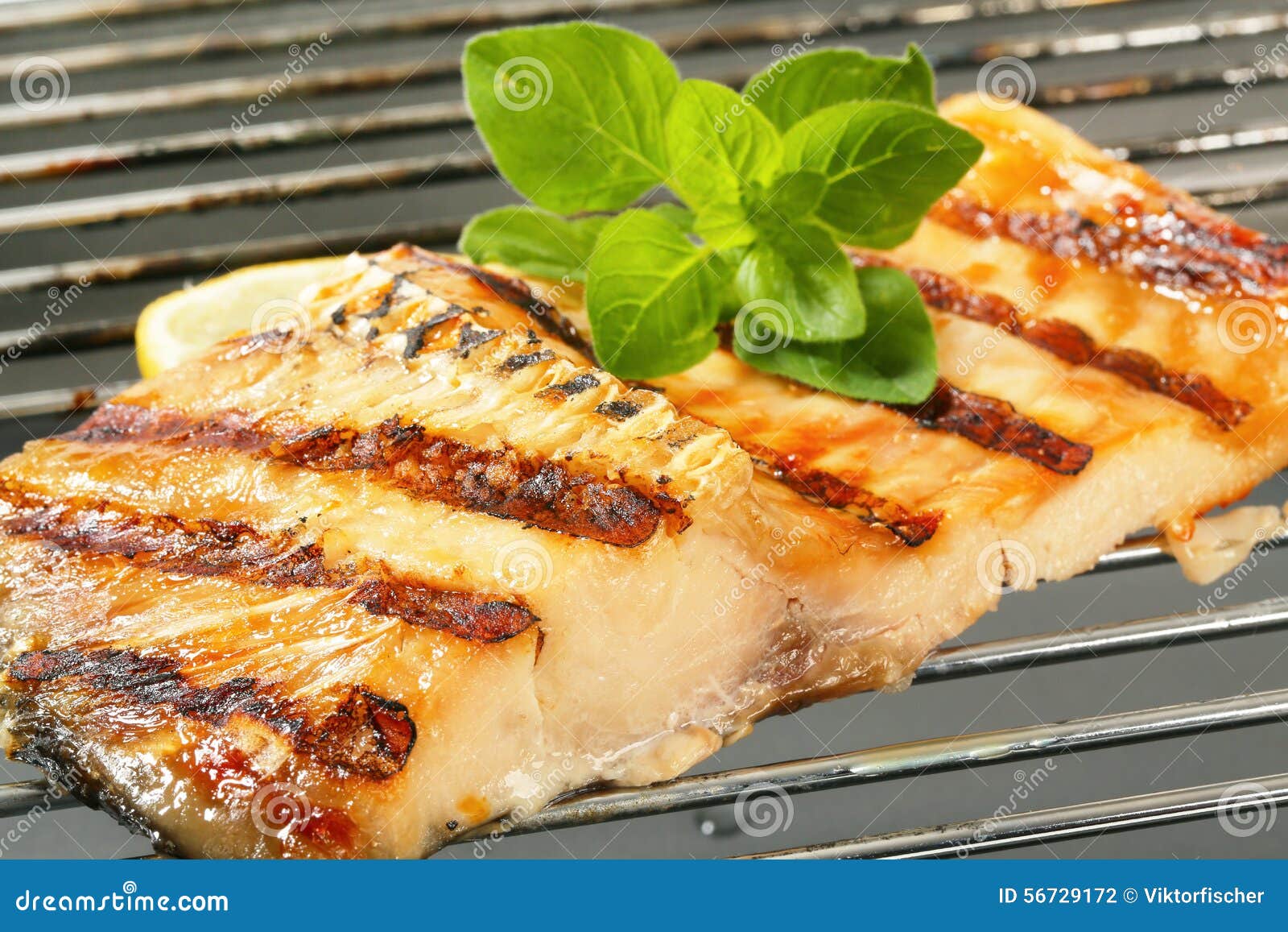 Grilled carp fillet stock photo. Image of fillet, grilling - 56729172