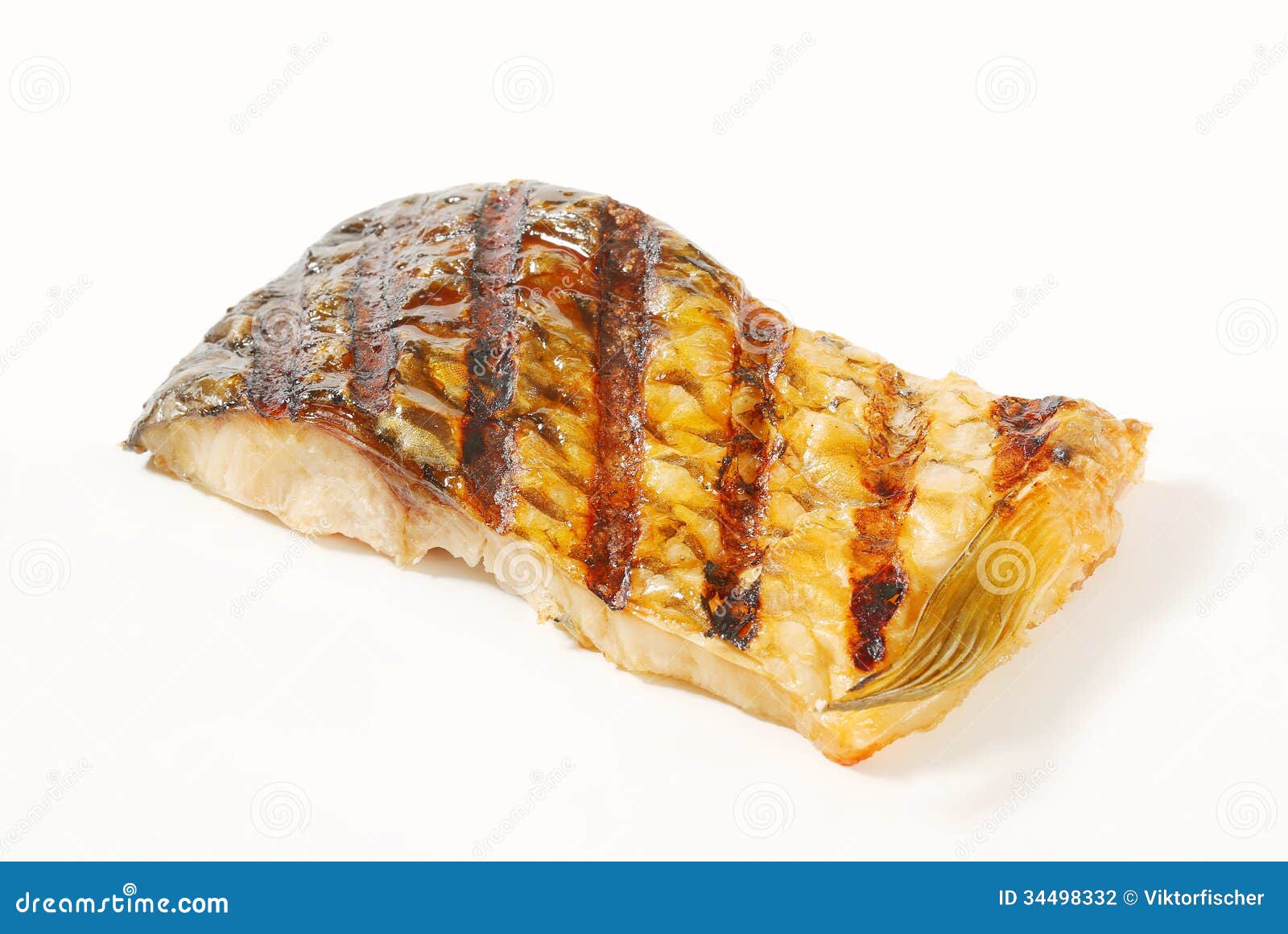 Grilled carp fillet stock photo. Image of shot, appetizer - 34498332