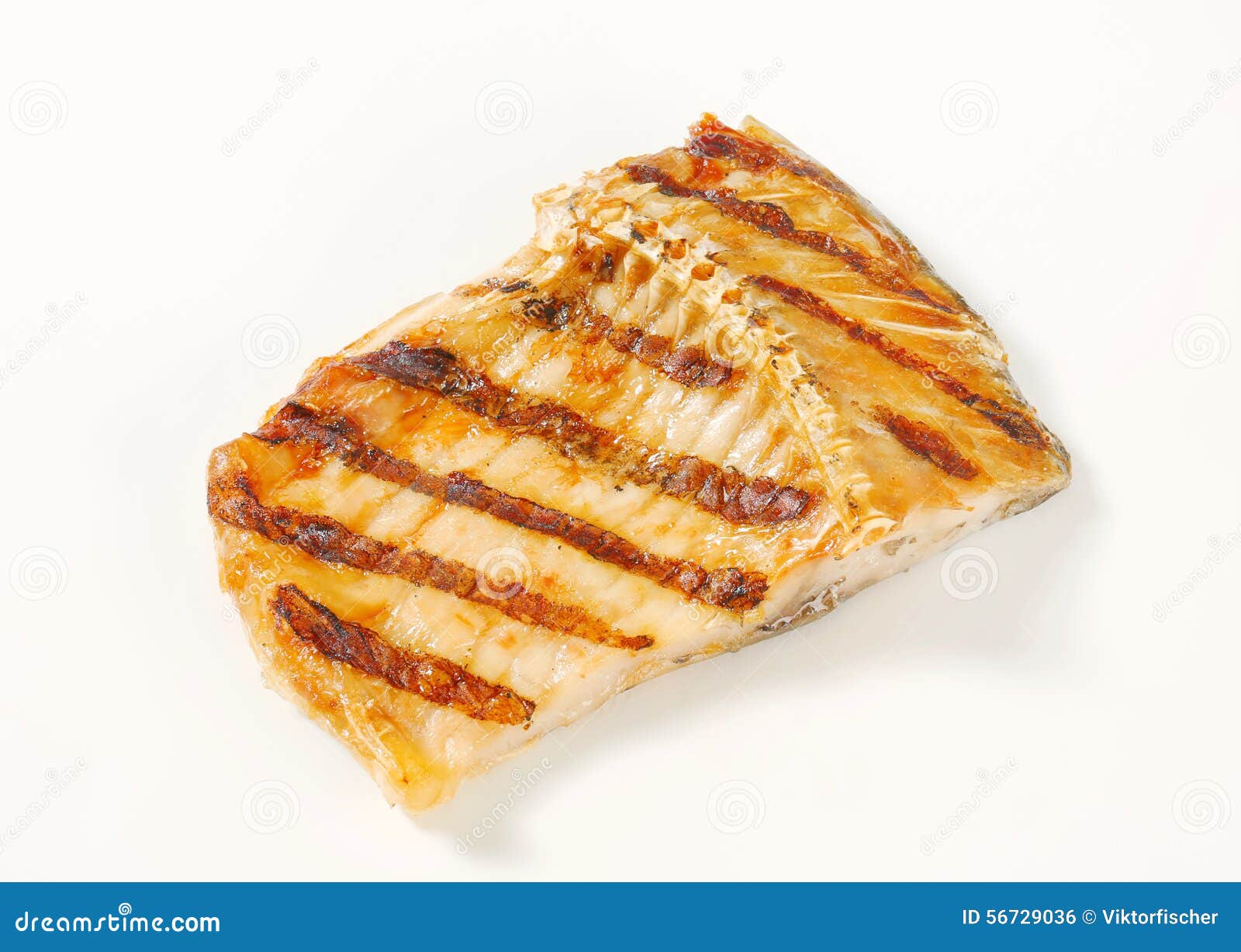 Grilled carp fillet stock photo. Image of grilled, background - 56729036