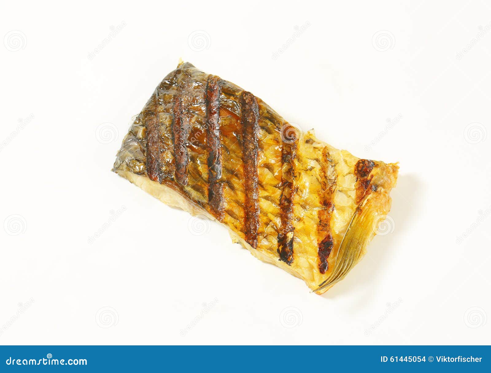 Grilled carp fillet stock photo. Image of fresh, boned - 61445054