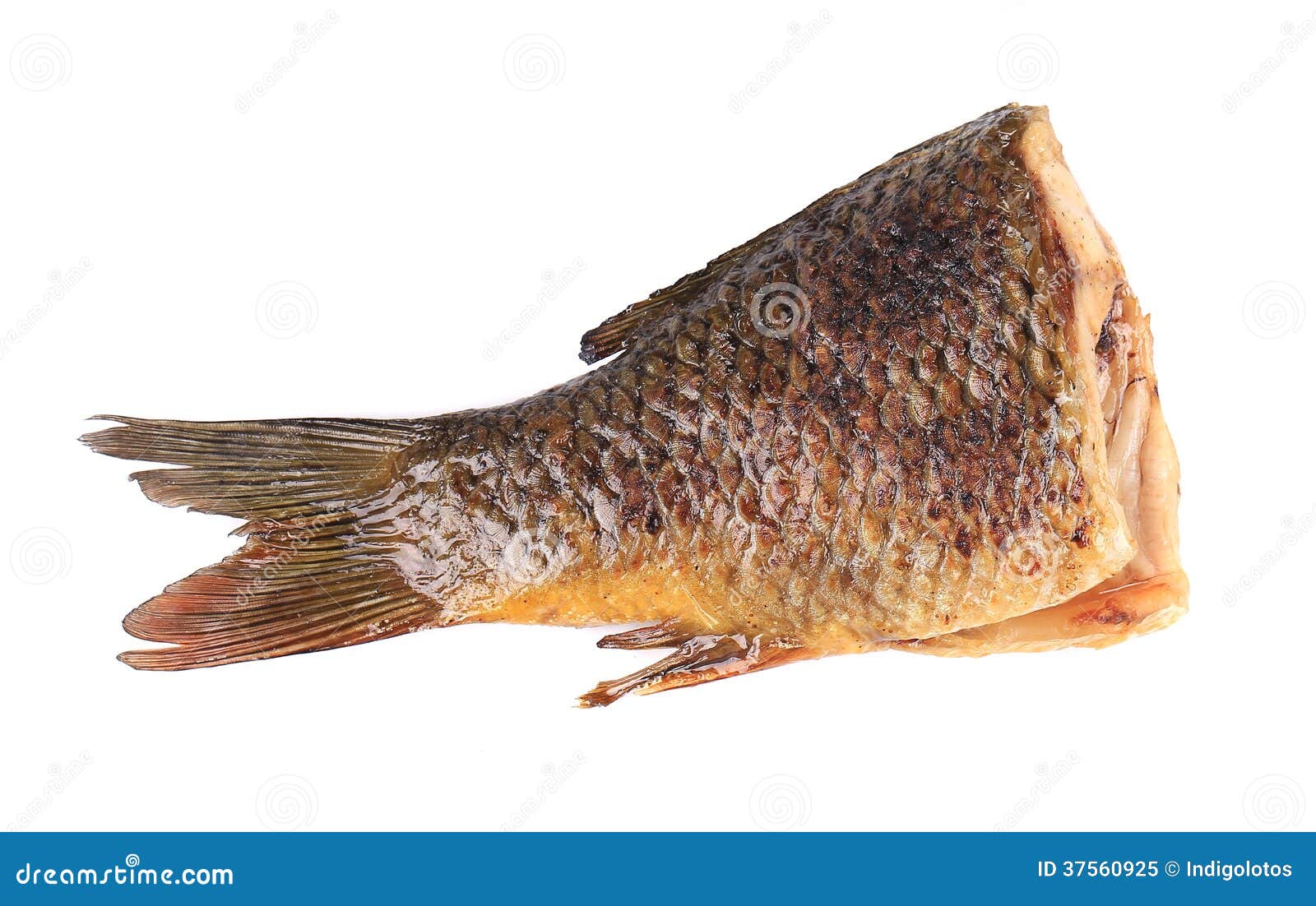 Grilled carp fish tail. stock image. Image of background - 37560925