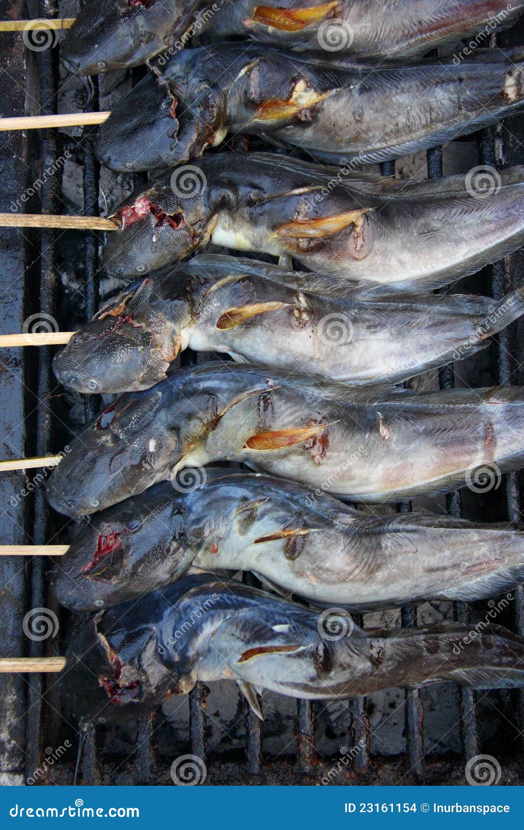 Grilled catfish stock photo. Image of menu, grill, asian - 23161154