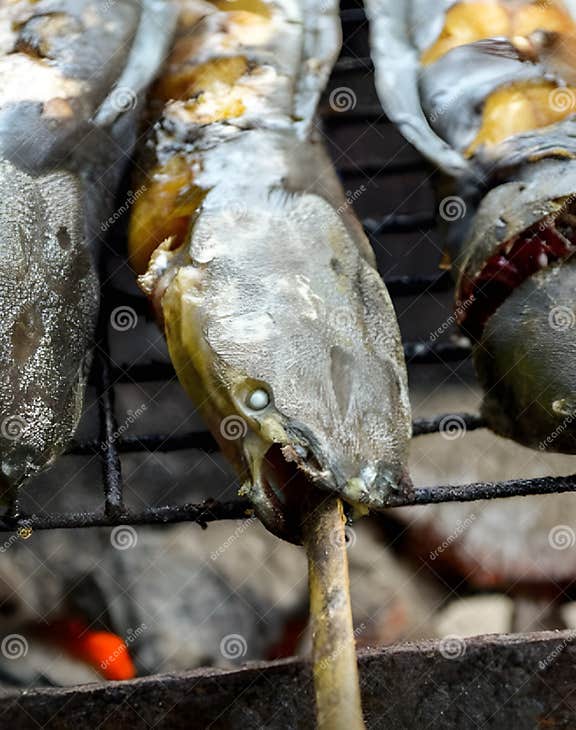 Grilled Catfish on the Grill Stock Image - Image of dinner, closeup ...