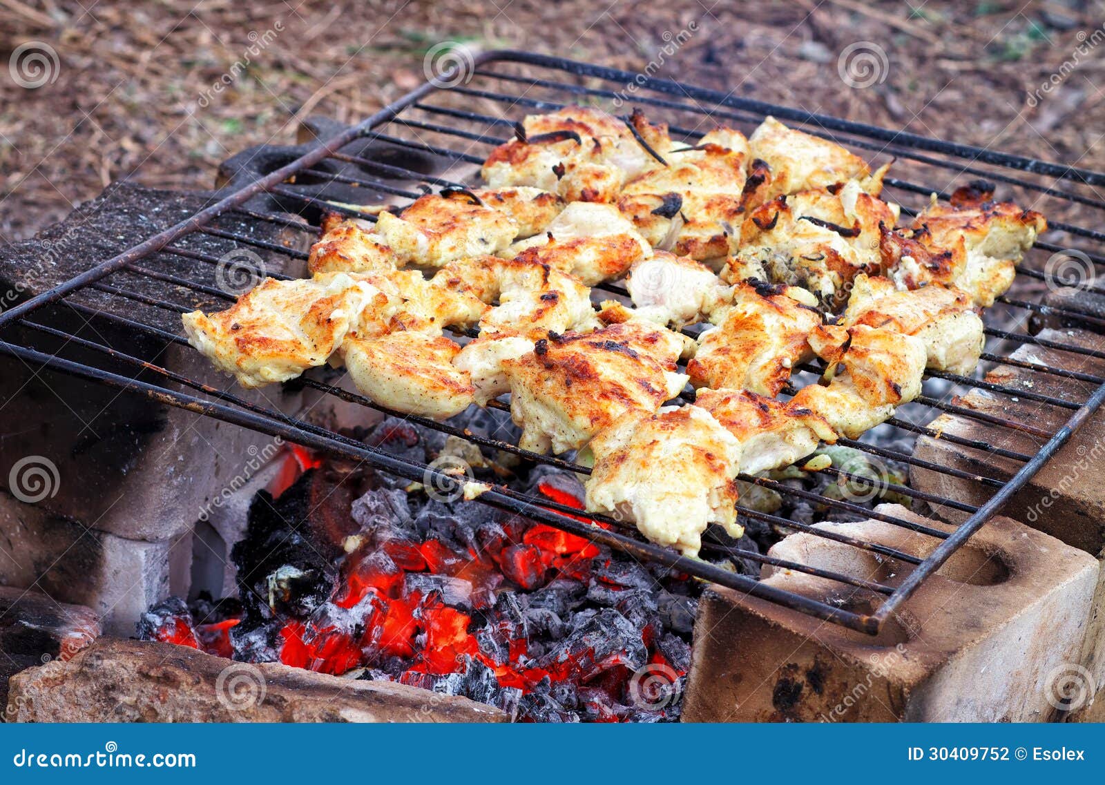 Grilled Chicken on the Fire. Stock Photo - Image of coals, grill: 30409752