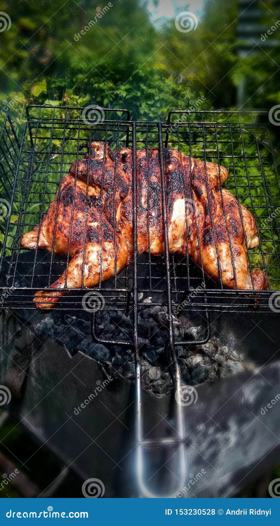 Grilled Chicken on the Open Fire in the Forest Stock Photo - Image of ...