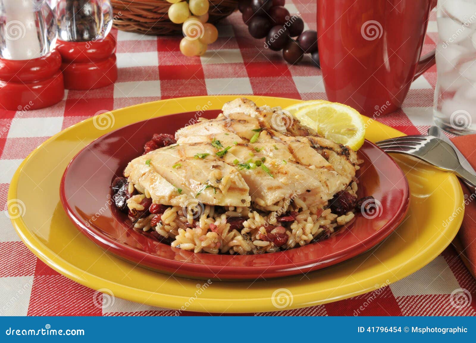 Grilled chicken and rice stock photo. Image of plate - 41796454