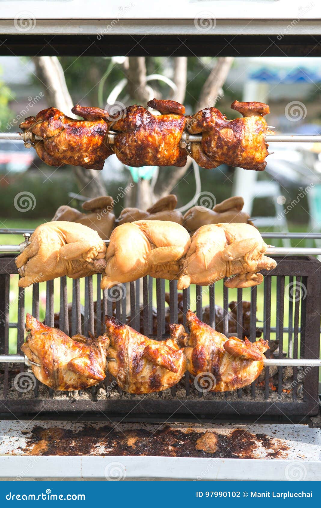 Grilled Chicken is Rotation. Stock Photo - Image of fire, tasty: 97990102