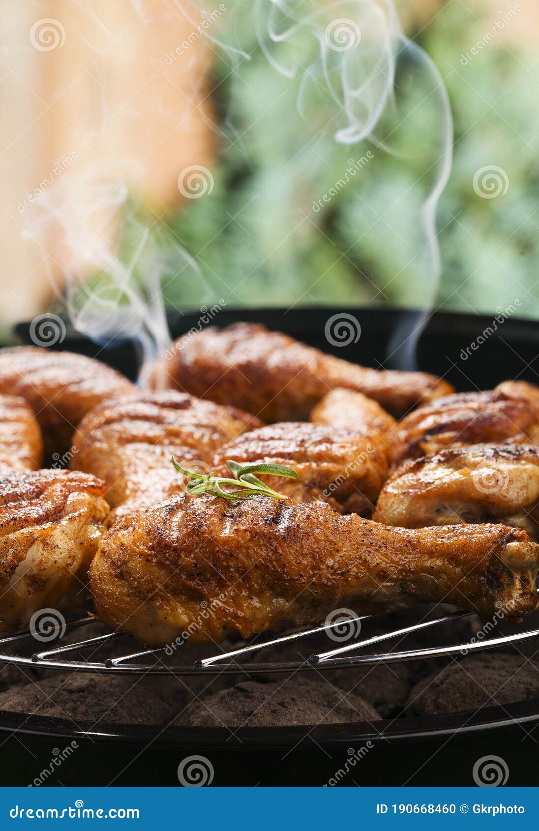 Grilled chicken sticks stock photo. Image of barbecue - 190668460