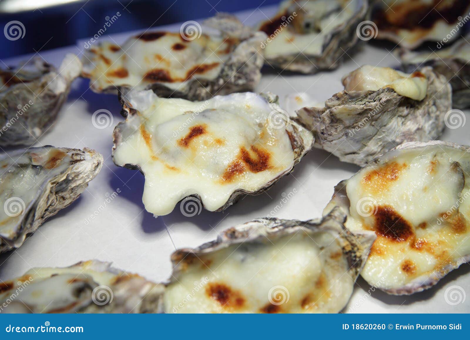 Grilled shellfish stock photo. Image of photograph, cooked - 18620260
