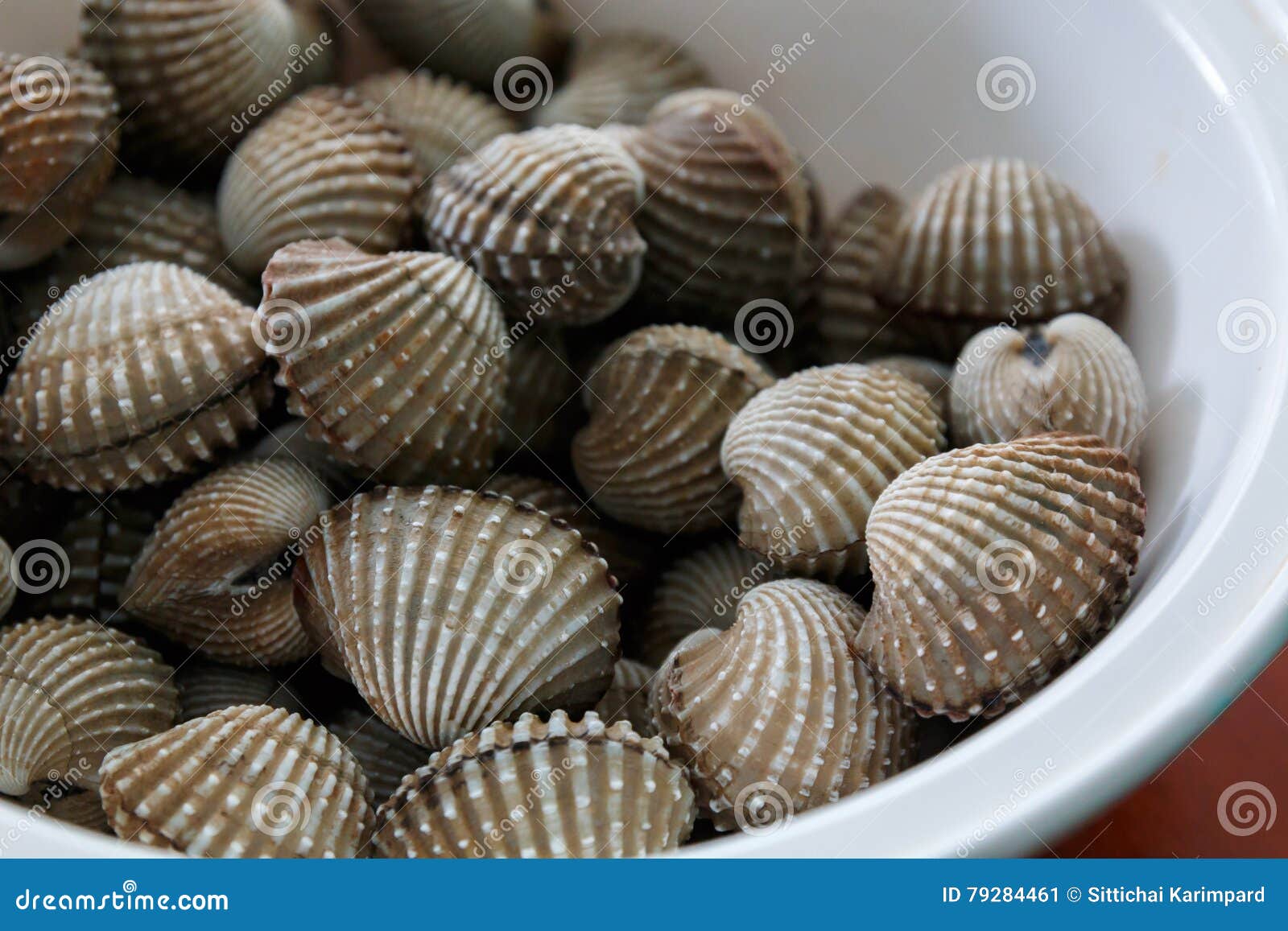 Grilled Cockle Shell stock image. Image of nature, texture - 79284461
