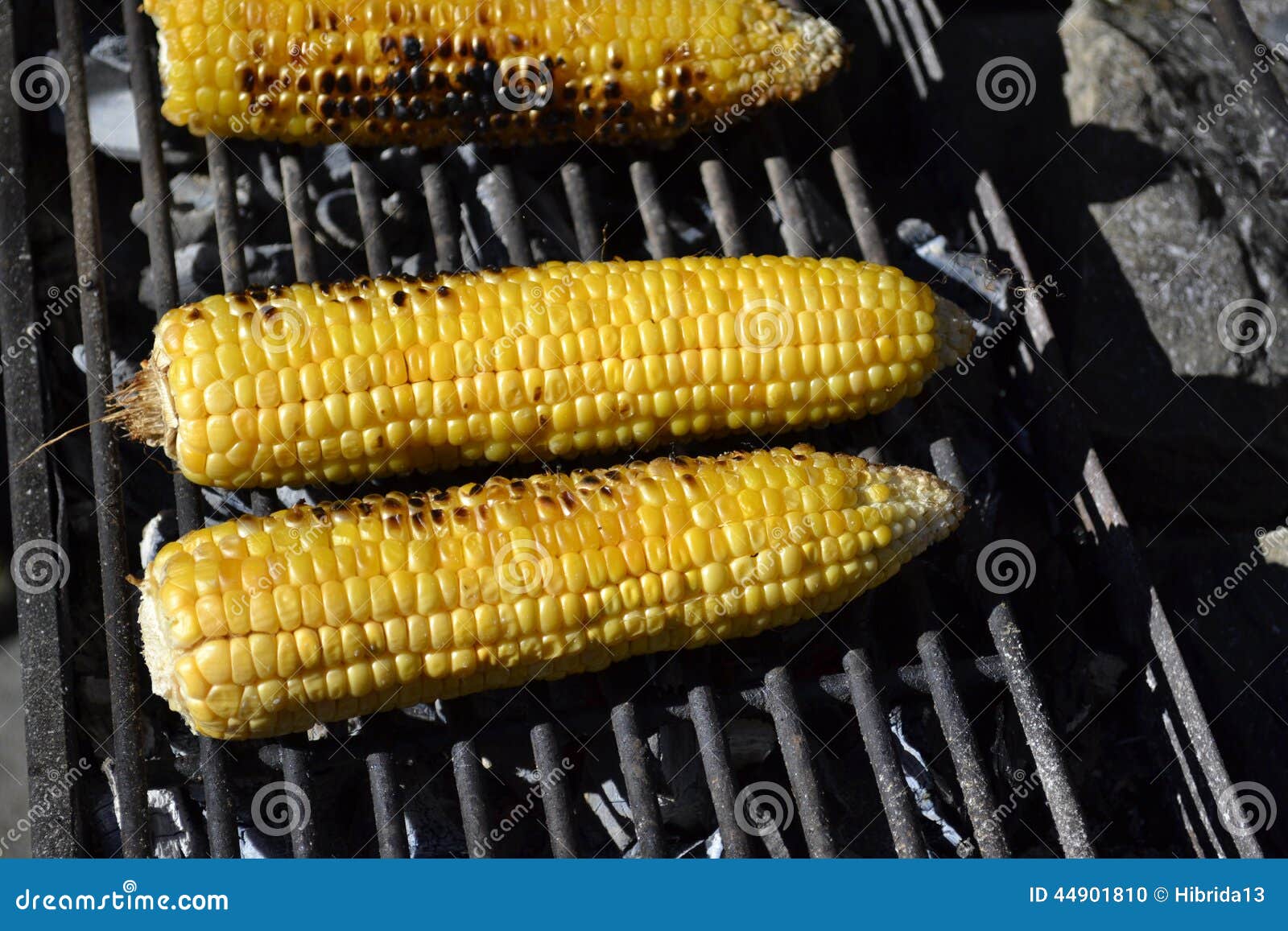 Grilled corn stock photo. Image of food, grilled, corn - 44901810