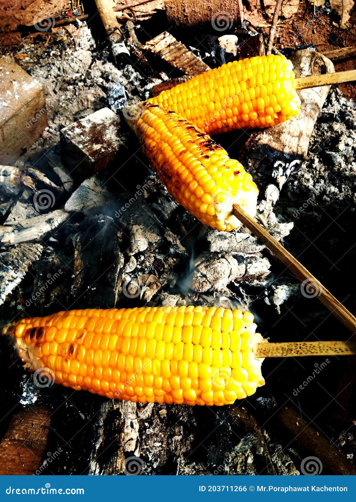 Grilled corn 3 on the fire stock photo. Image of grilled - 203711266