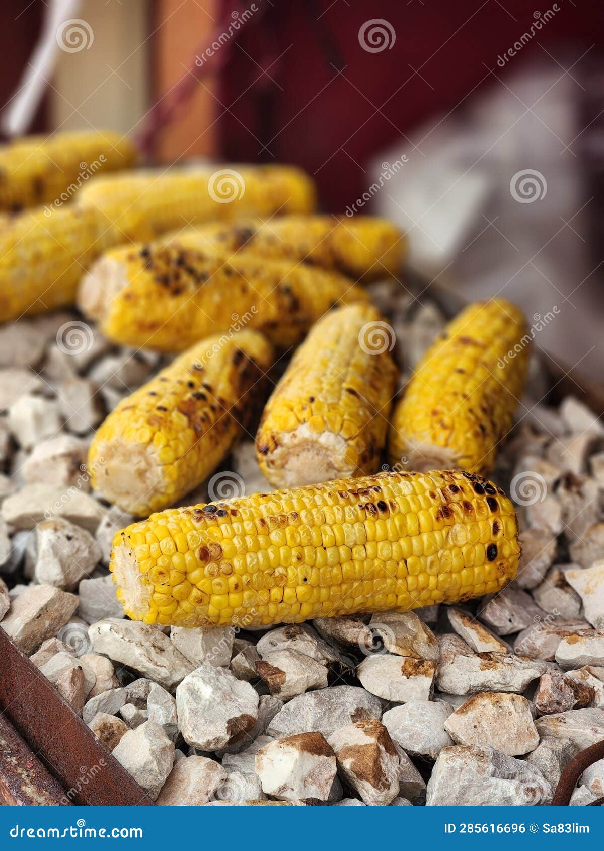 Grilled corn on hot stones stock photo. Image of fruit - 285616696