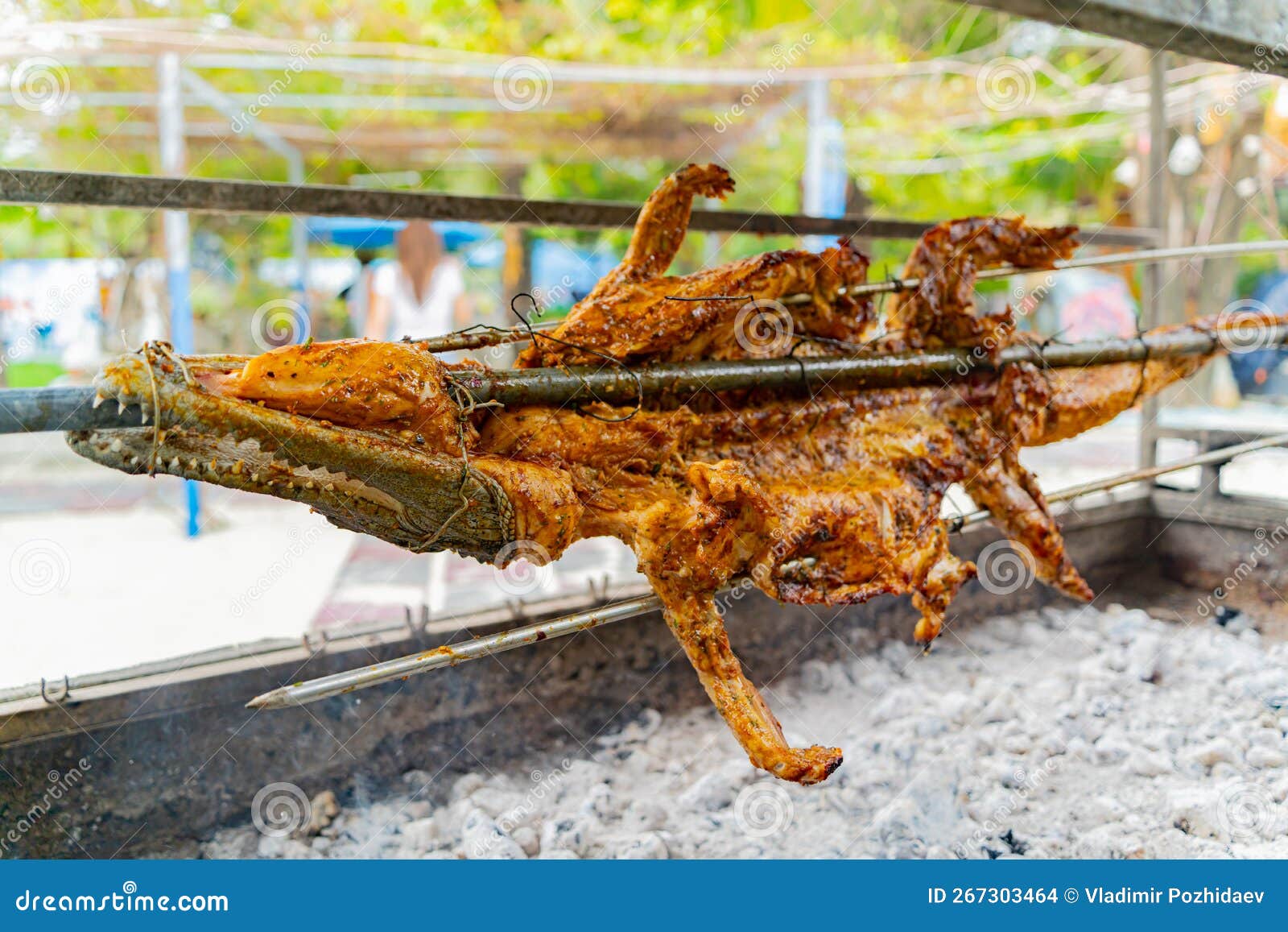 Preparing a crocodile. stock photo. Image of asian, cooking - 267303464