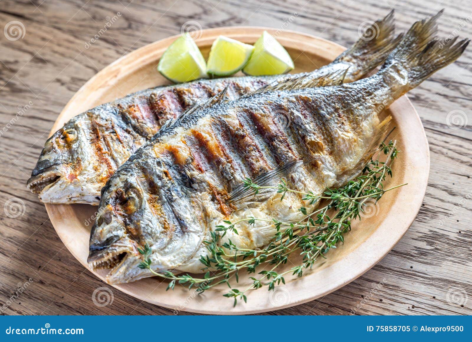 Grilled Dorade Royale Fish stock image. Image of mediterranean - 75858705
