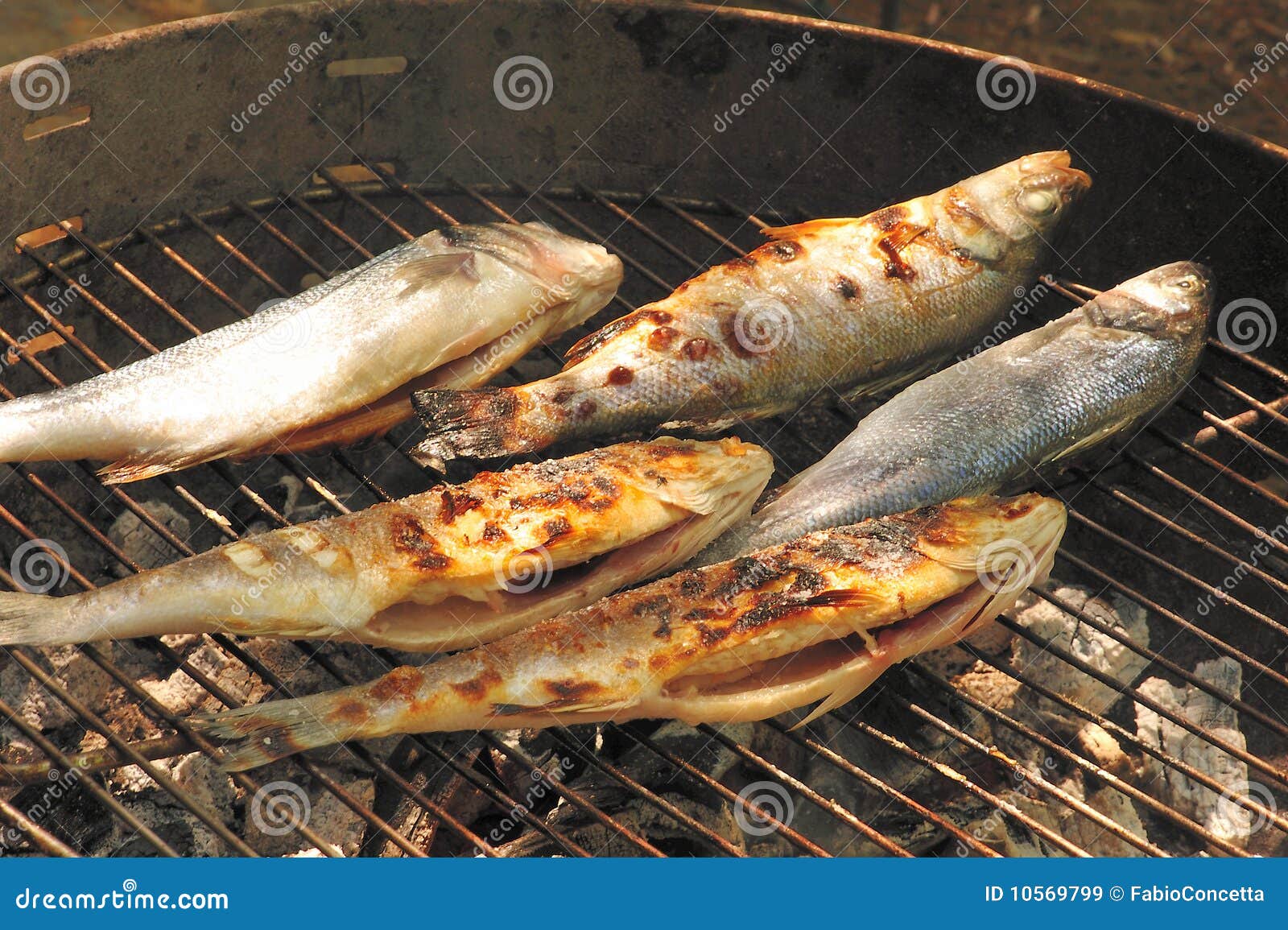 Grilled fish stock image. Image of bones, roasted, farm - 10569799