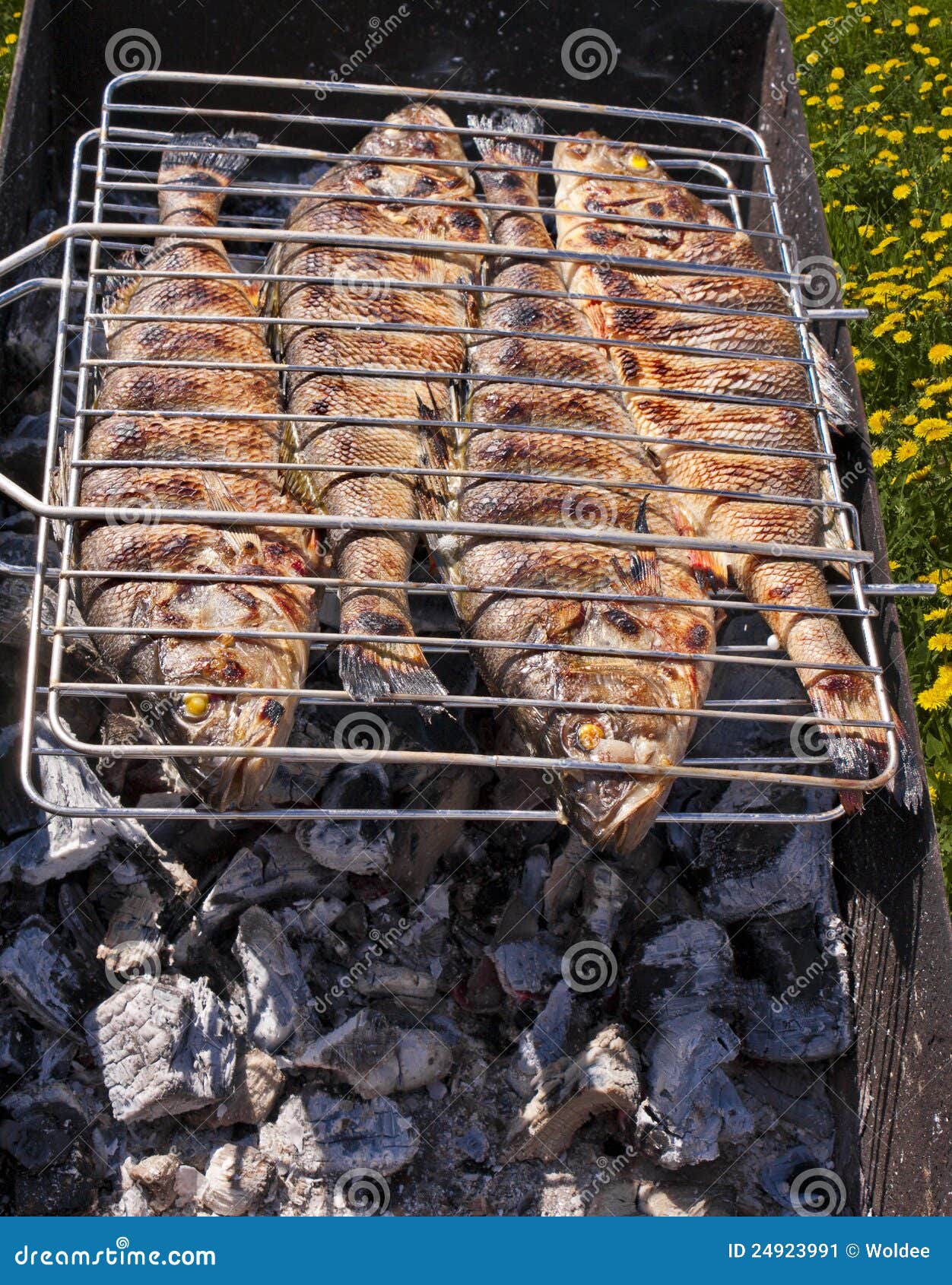 Grilled fish stock image. Image of diet, frying, food - 24923991