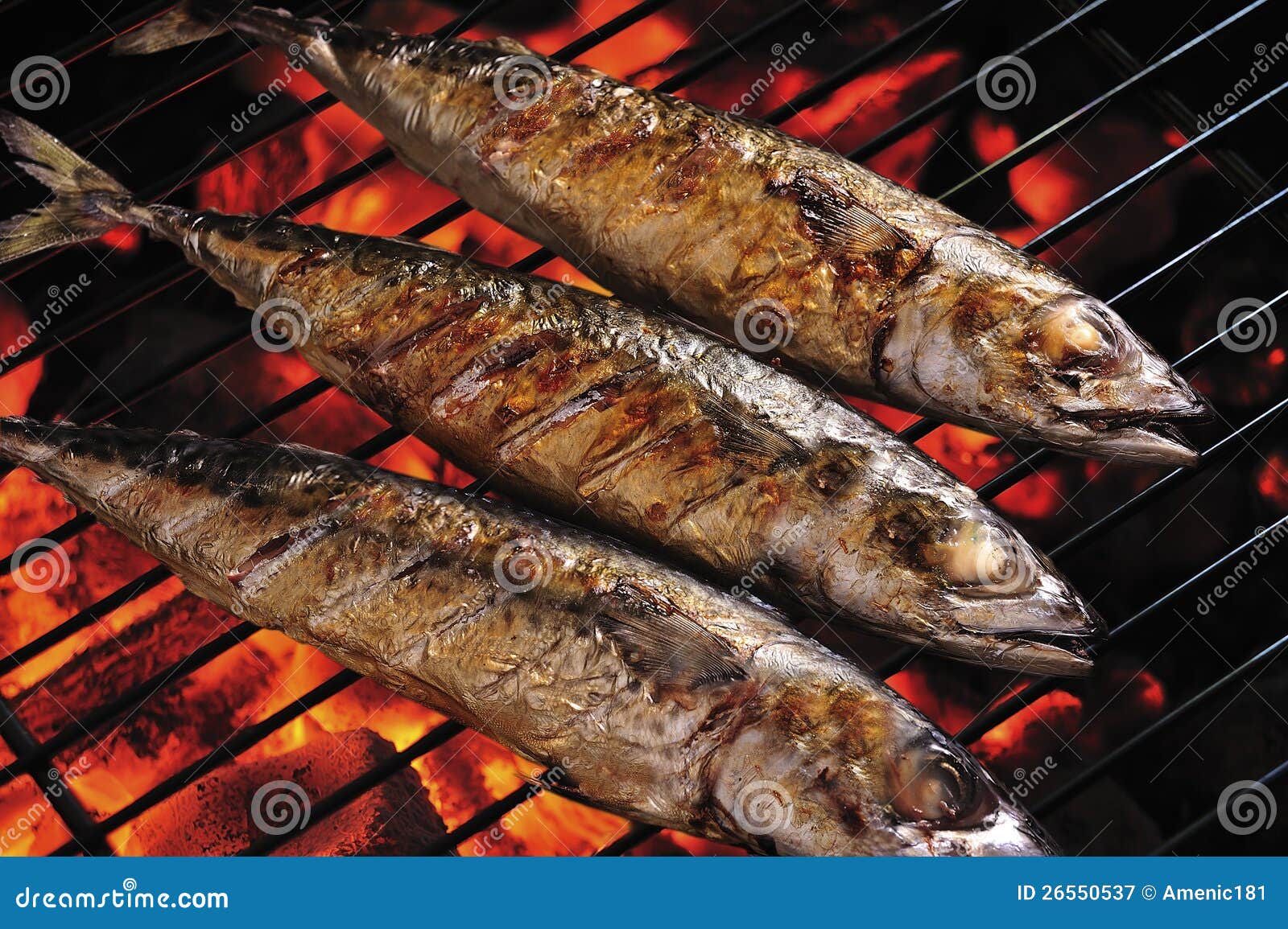 Grilled fish stock image. Image of grill, cooking, barbecue - 26550537