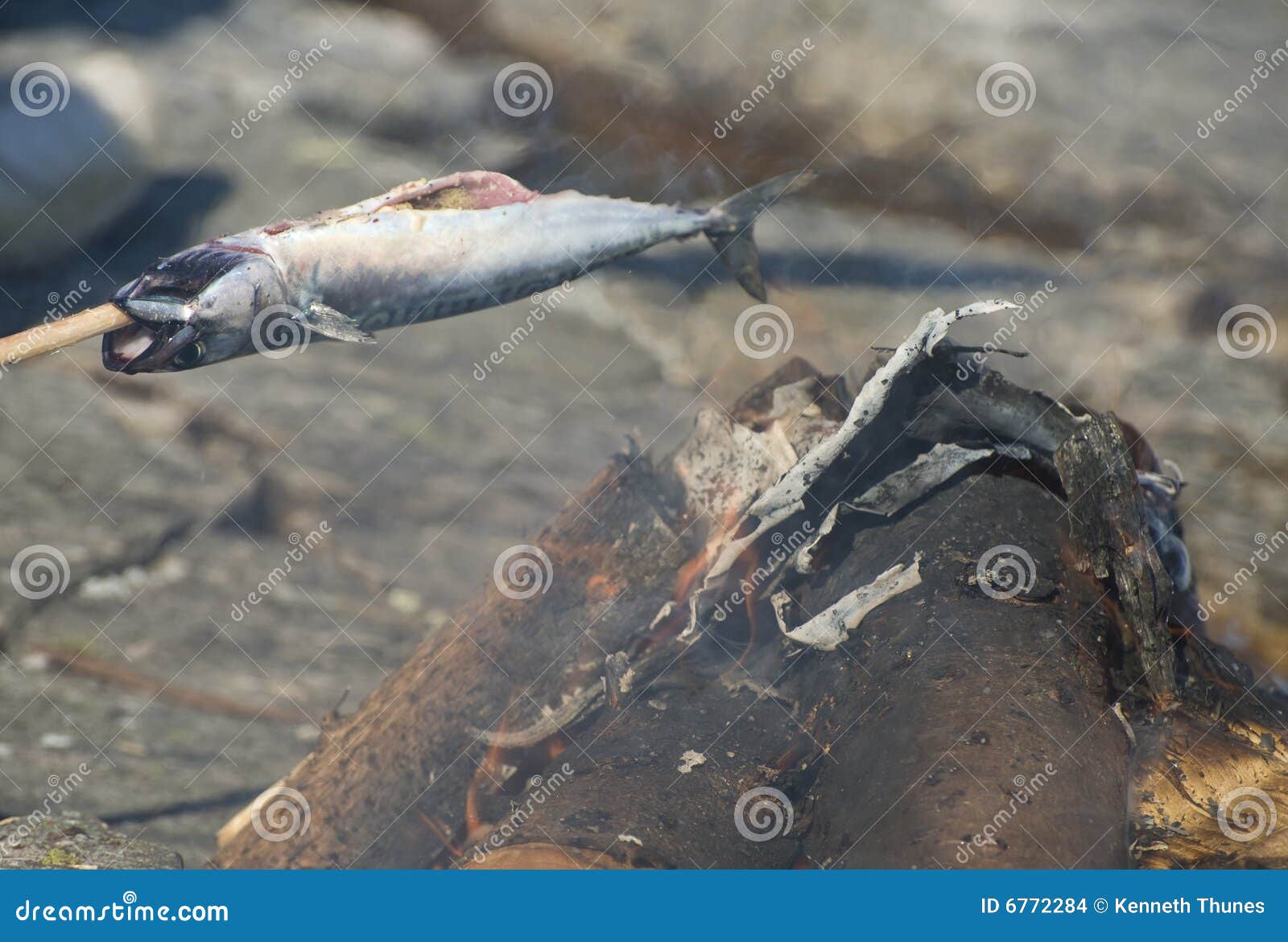 Grilled fish stock photo. Image of grilled, flame, seafood - 6772284