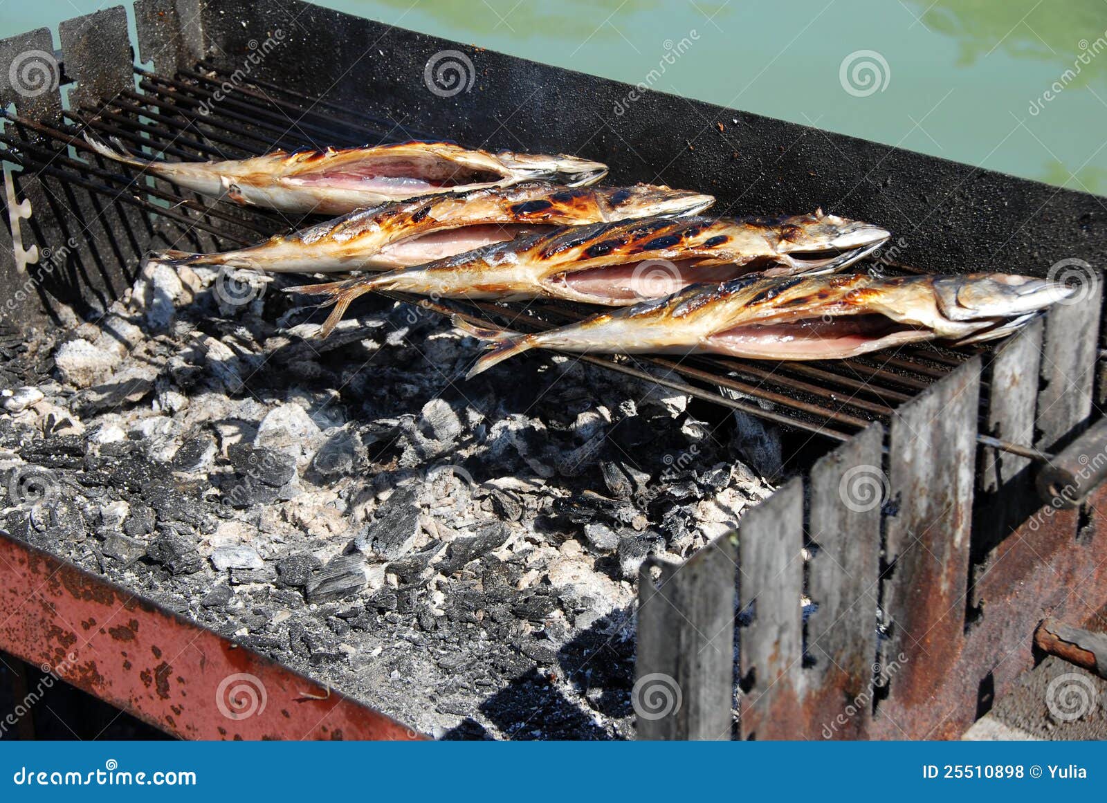 Grilled fish on barbecue stock photo. Image of dish, barbecue - 25510898
