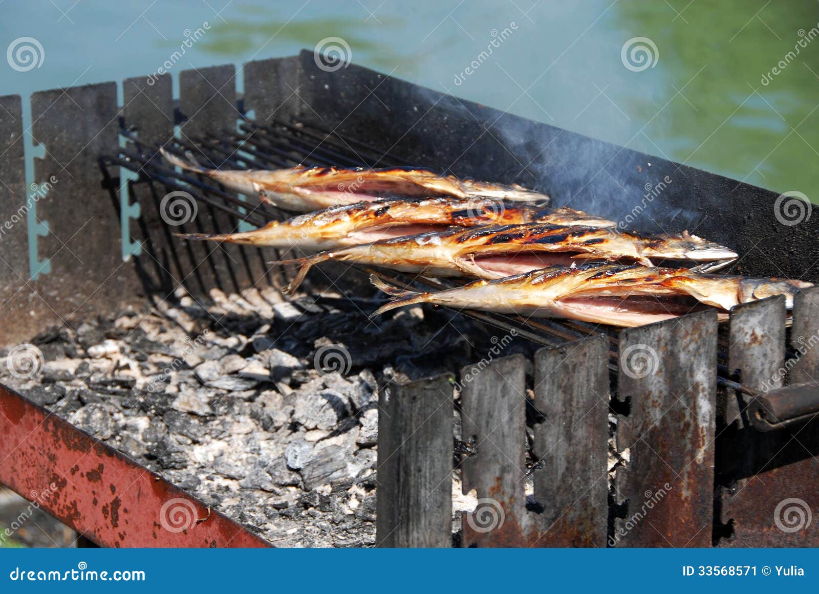 Grilled fish on barbecue stock image. Image of grilling - 33568571