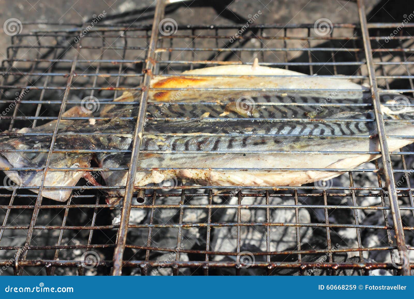 Grilled fish stock image. Image of focus, roast, food - 60668259