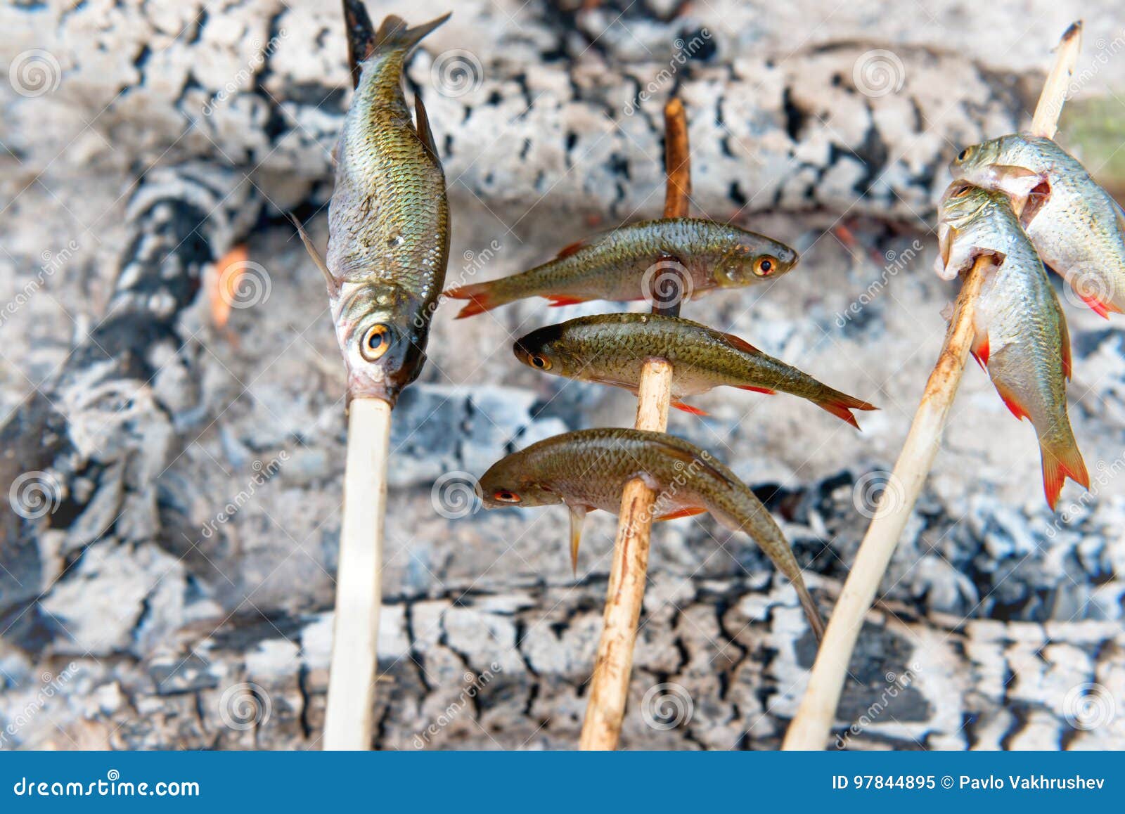 Grilled fish on the fire stock image. Image of food, fried - 97844895