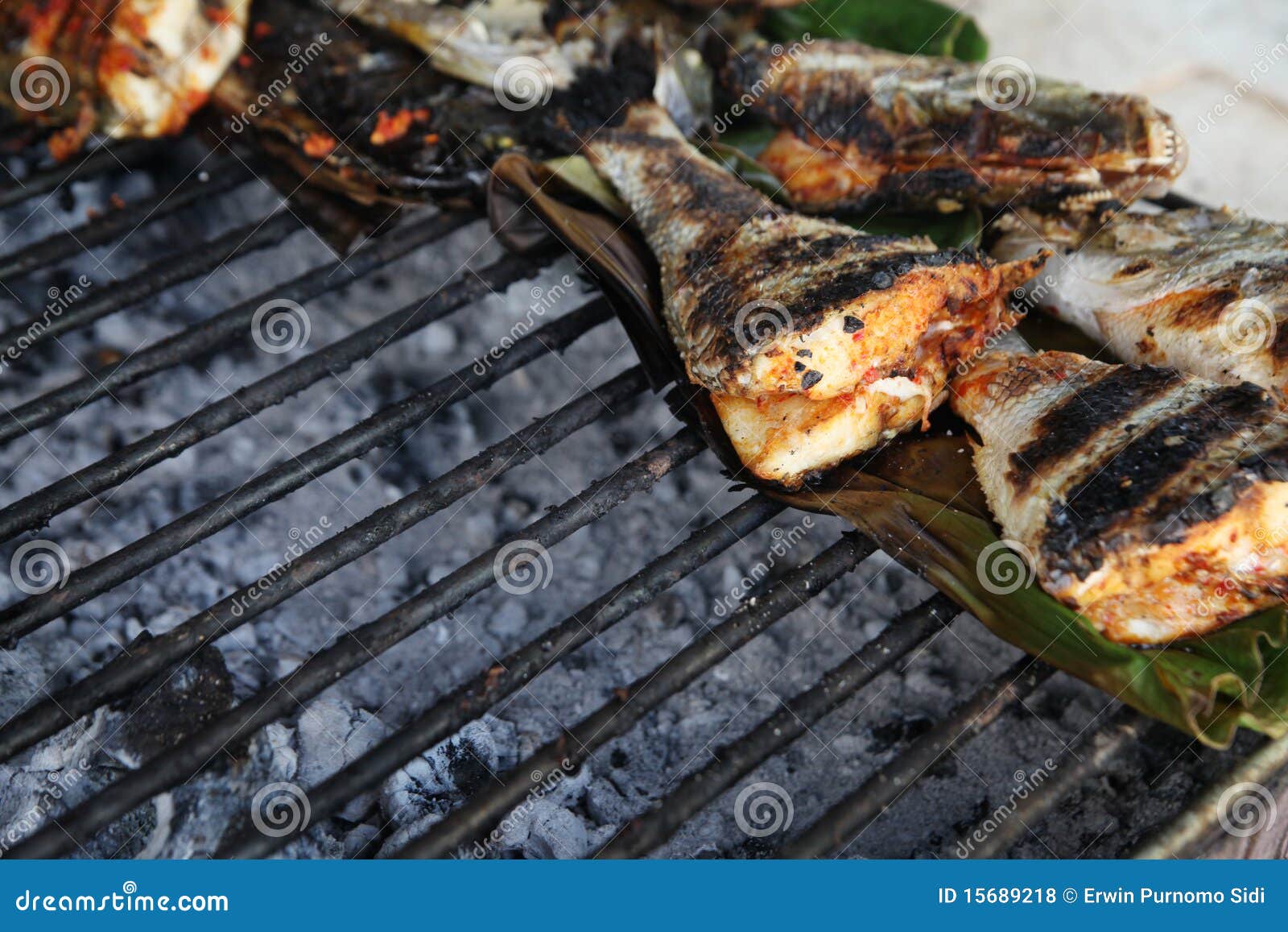 Grilled fish food portion stock photo. Image of dish - 15689218